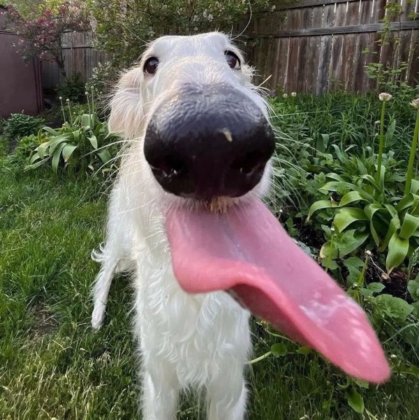 WOULD I DATE YOU AS AN INTP RAHH 🔥🔥🦅🦅