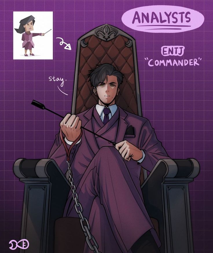 What a think of your MBTI as ENTJ