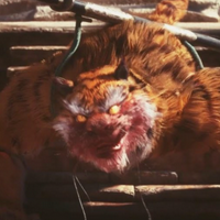 🔥 虎先锋 MBTI 性格类型是ESTP还是ESTJ?