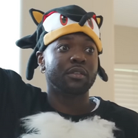 Shadow the Hedgehog MBTI Personality Type: INTJ