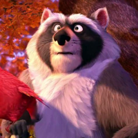 Raccoon - Discussion on PDB