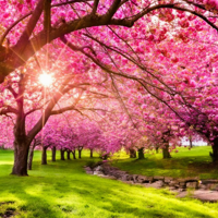 🔥 Spring MBTI ENFP or ENFJ?