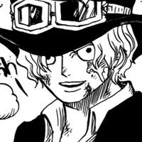 Sabo MBTI Personality Type: ENTP