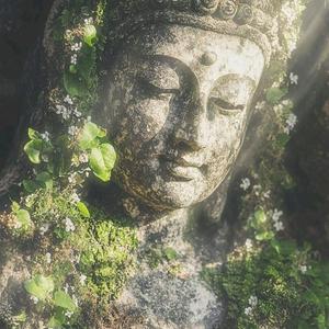 Siddhārtha Gautama / Buddha MBTI Personality Type: INFJ