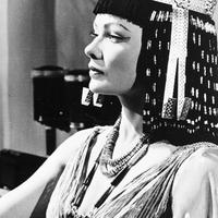 🔥 Baketamon MBTI | The Egyptian (1954) Personality