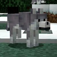 🔥 Ashen Wolf MBTI | Minecraft Personality Types