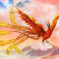 The Vermilion Bird MBTI Personality Type: INTP