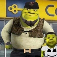 🔥 If Shrek Buchón has a personality type...