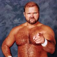 Arn Anderson - Discussion on PDB