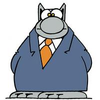 🔥Le Cat ( Le chat ) Characters MBTI Personality Types