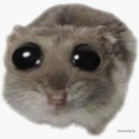 🔥 If Sad hamster meme has a personality type...