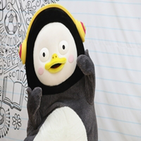 Pengsoo - Discussion on PDB