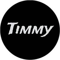 🔥 Timmy MBTI Personality Types