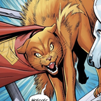 🔥 Streaky the Supercat MBTI | DC Comics Personality Types