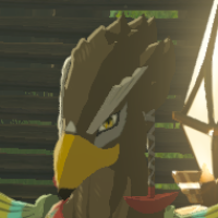 🔥 Huck MBTI | The Legend of Zelda: BOTW, AOC & TOTK Personality Types