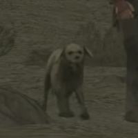 Dog - Discussion on PDB