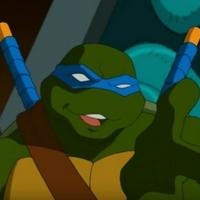 🔥 Leonardo MBTI | Teenage Mutant Ninja Turtles (2003) Personality Types