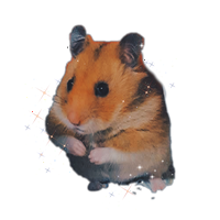 Booshka - Discussion on PDB