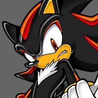 Shadow the Hedgehog MBTI Personality Type: INTJ