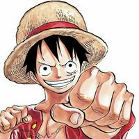 🔥 You, the Watcher (Vote Your Type) MBTI | One Piece Personality Types