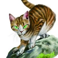 Bright Stream - Discussion on PDB