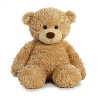 Teddy Bear MBTI Personality Type: INFP
