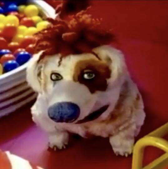 🔥 Sundae MBTI Personality Type INTP or INTJ?