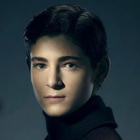 Bruce Wayne MBTI Personality Type: INTJ