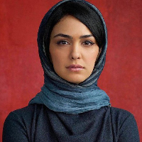 Fara Sharazi - Discussion on PDB