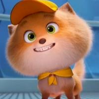 Mini - Discussion on Pdb