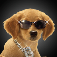 B-Dawg - Discussion on Pdb