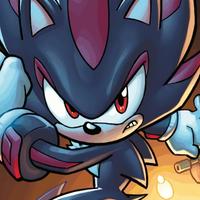 Shadow the Hedgehog MBTI Personality Type: INTJ