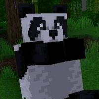 🔥 Worried Panda MBTI | Minecraft Personality Types