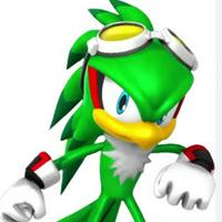 Jet the Hawk MBTI Personality Type: ISTJ