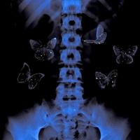 Spiritual But Not Religious's MBTI Personality Type | Christ is God ️