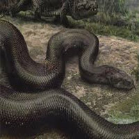 Titanoboa - Discussion on PDB