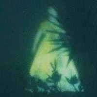 Agnes Dowd - Discussion on PDB