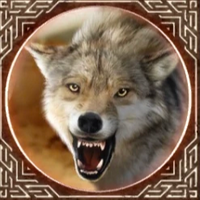 🔥 Mexican wolf MBTI Personality Type which MBTI?