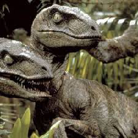 🔥 The Big One (Velociraptor) MBTI | Jurassic Park / Jurassic World ...
