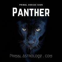 🔥 If Panther (Primal Astrology) has a personality type...