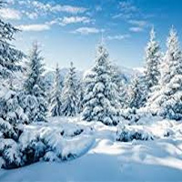 🔥 Winter Personality: INFJ or ENFJ?