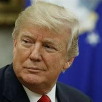 唐纳德·特朗普 MBTI 揭露（及其他政府官員！）