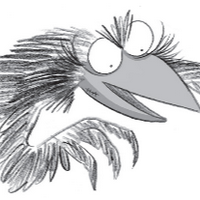 🔥 Jungle Crow MBTI | Real Pigeons Personality Types