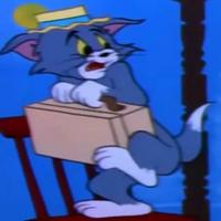 George Cat - Discussion on PDB