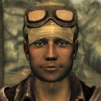 🔥 Crow MBTI | Fallout Personality Types