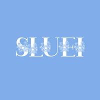 SLUEI MBTI Personality Type: ENTP