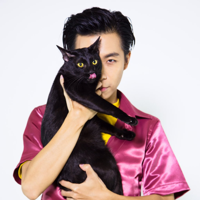 Na Polycat Personality Type (MBTI, Enneagram, Song Persona)