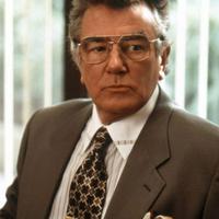 🔥 Ed Masry MBTI | Erin Brockovich (2000) Personality Types