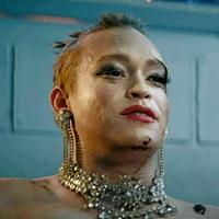 🔥 Dogman MBTI Personality Types