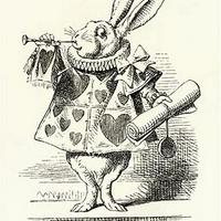 The White Rabbit - Discussion on PDB